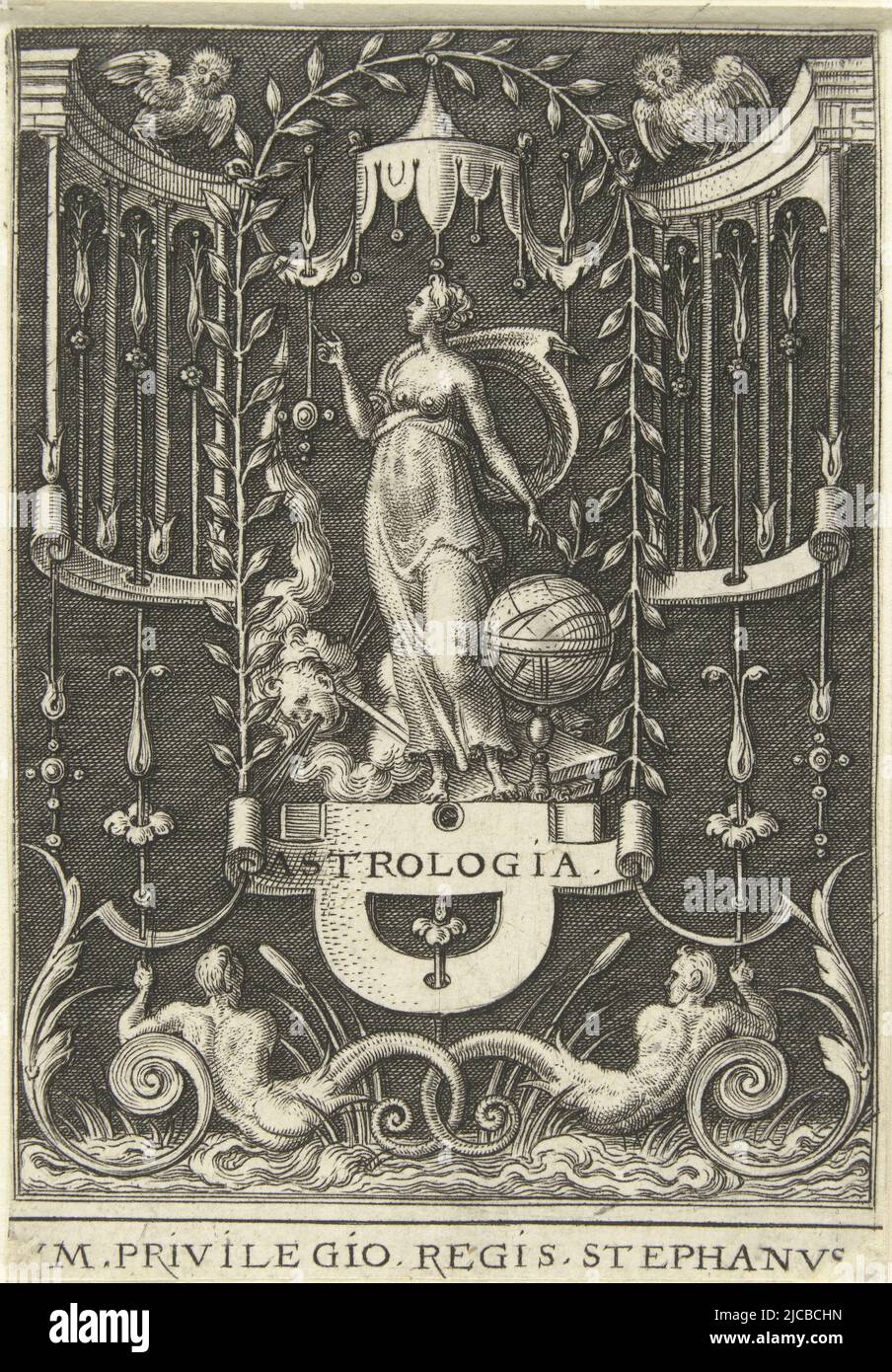 Impression de queues de poisson Banque de photographies et d’images à ...