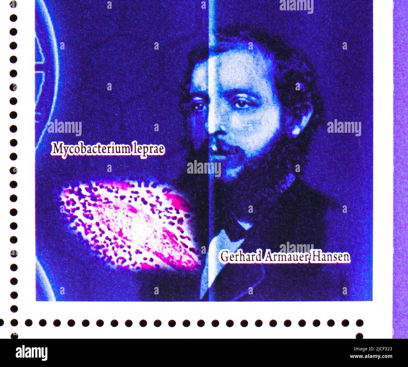 Mycobacterium leprae Banque de photographies et d’images à haute ...