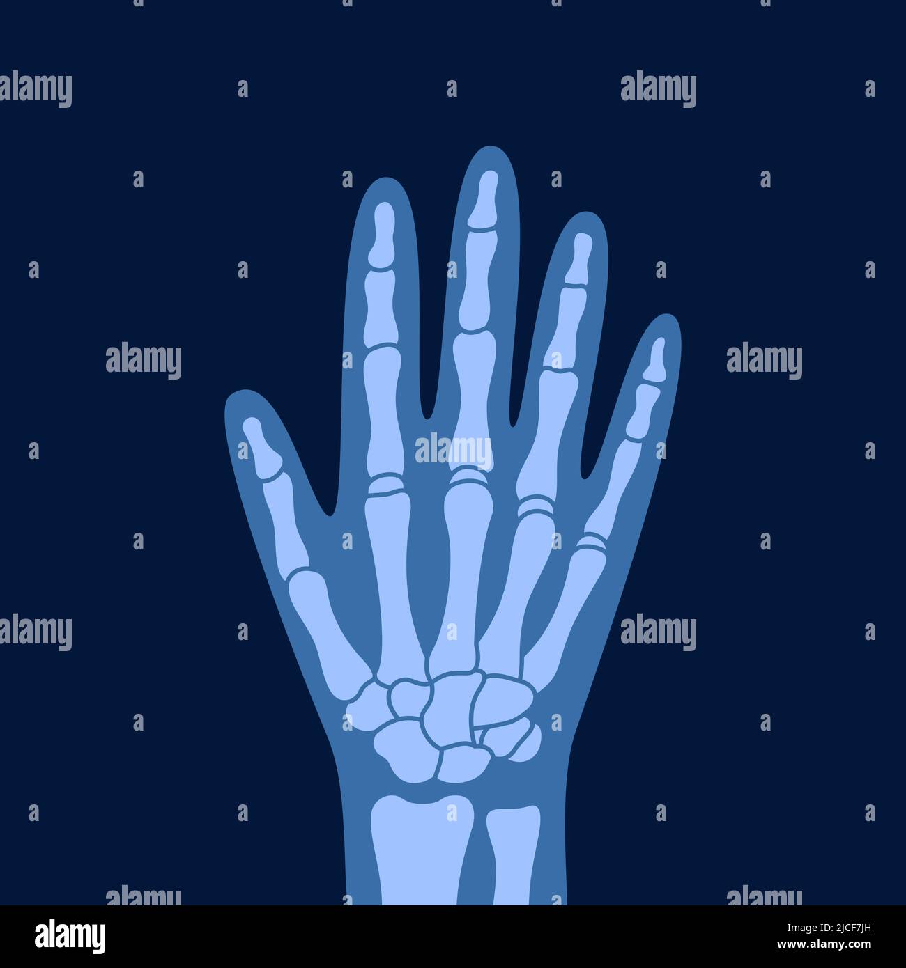 Articulation carpienne Banque d'images vectorielles - Alamy