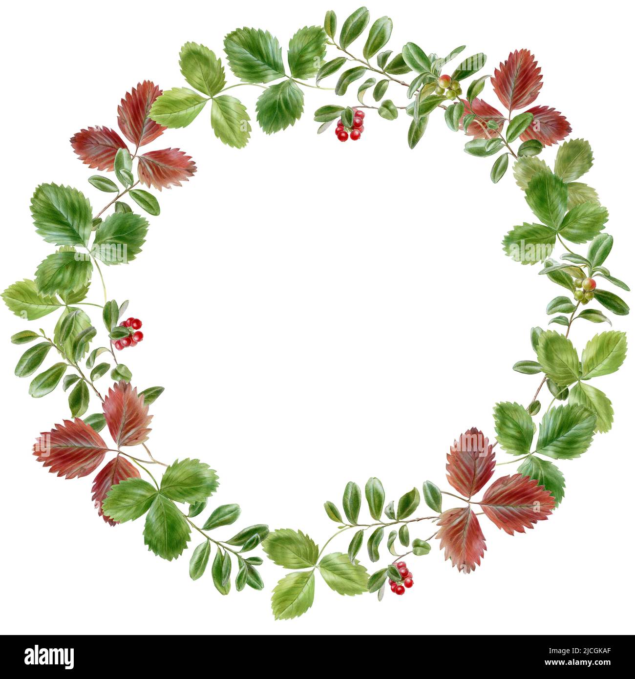 Greenery illustration Banque de photographies et d’images à haute ...