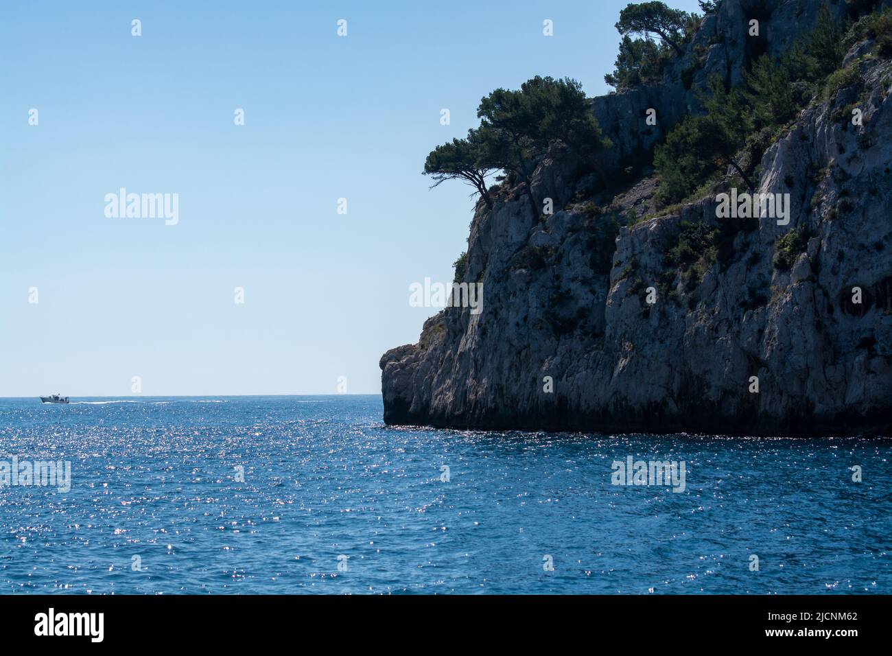 Pins méditerranéens qui poussent sur des roches calcaires blanches et des falaises dans le parc ...