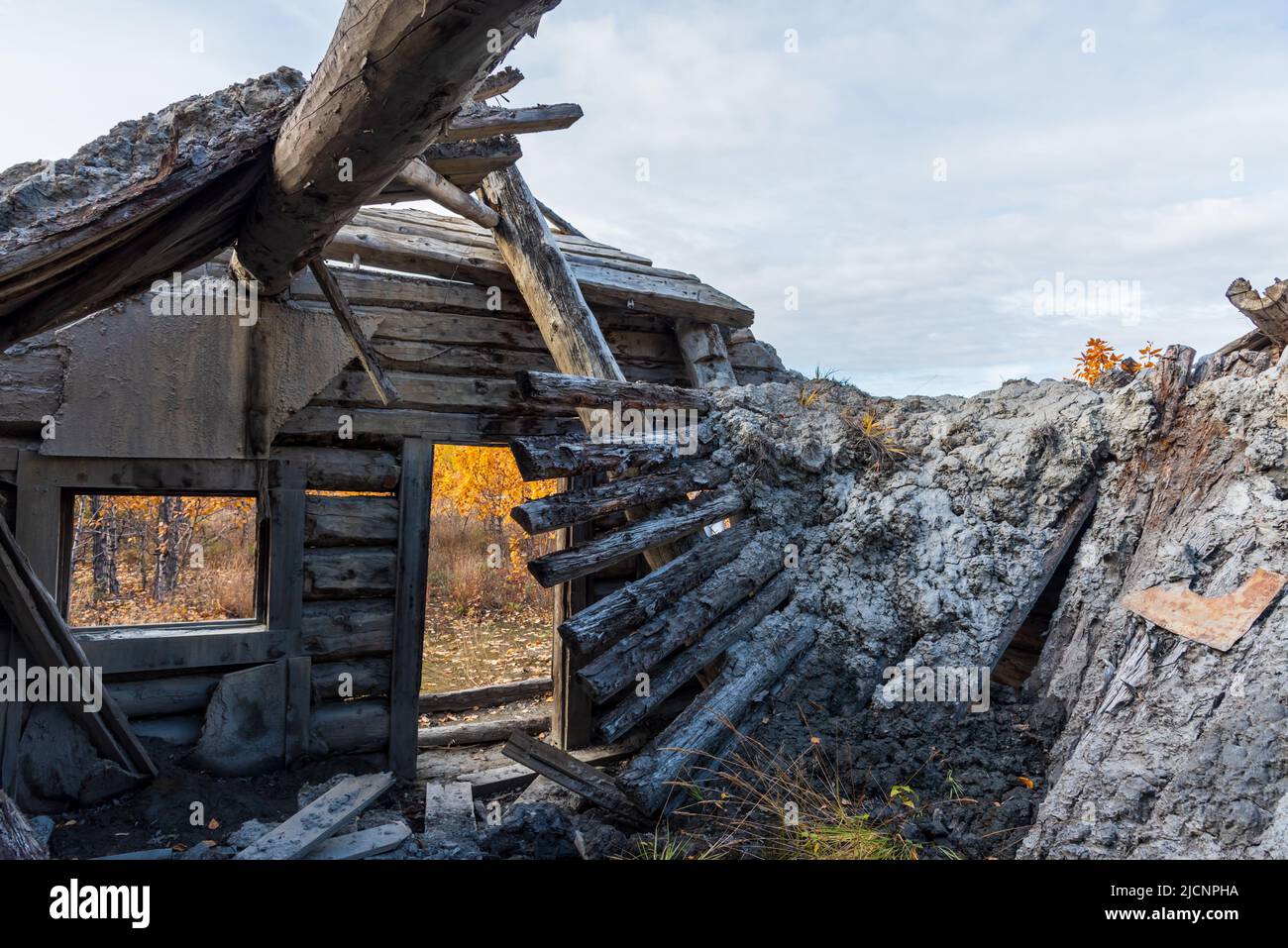 Cabane en rondins abandonnée qui s'est effondrée et qui tombe dans les ...
