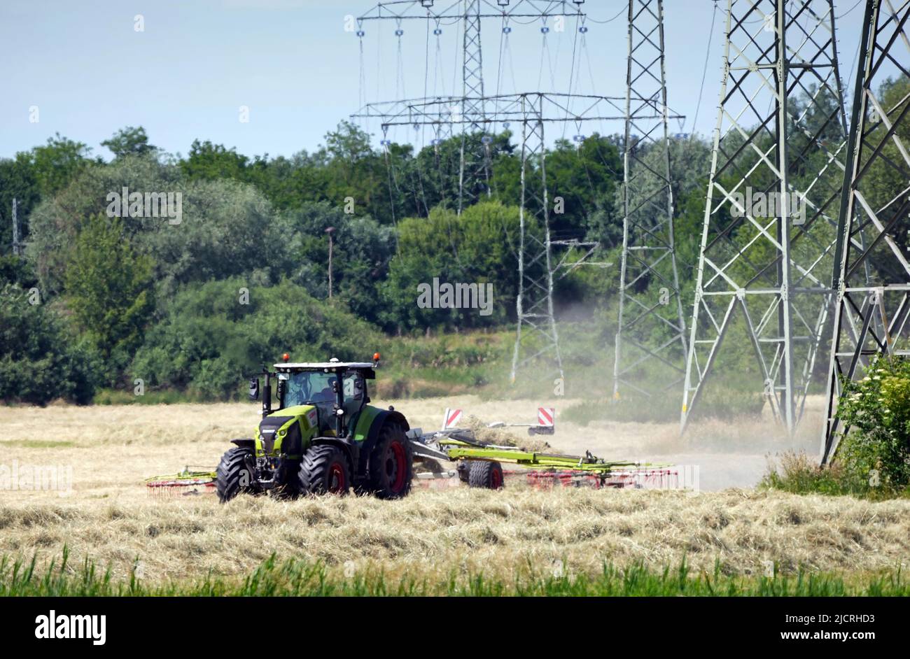 Potsdam, Allemagne. 14th juin 2022. Un agriculteur traverse un champ ...