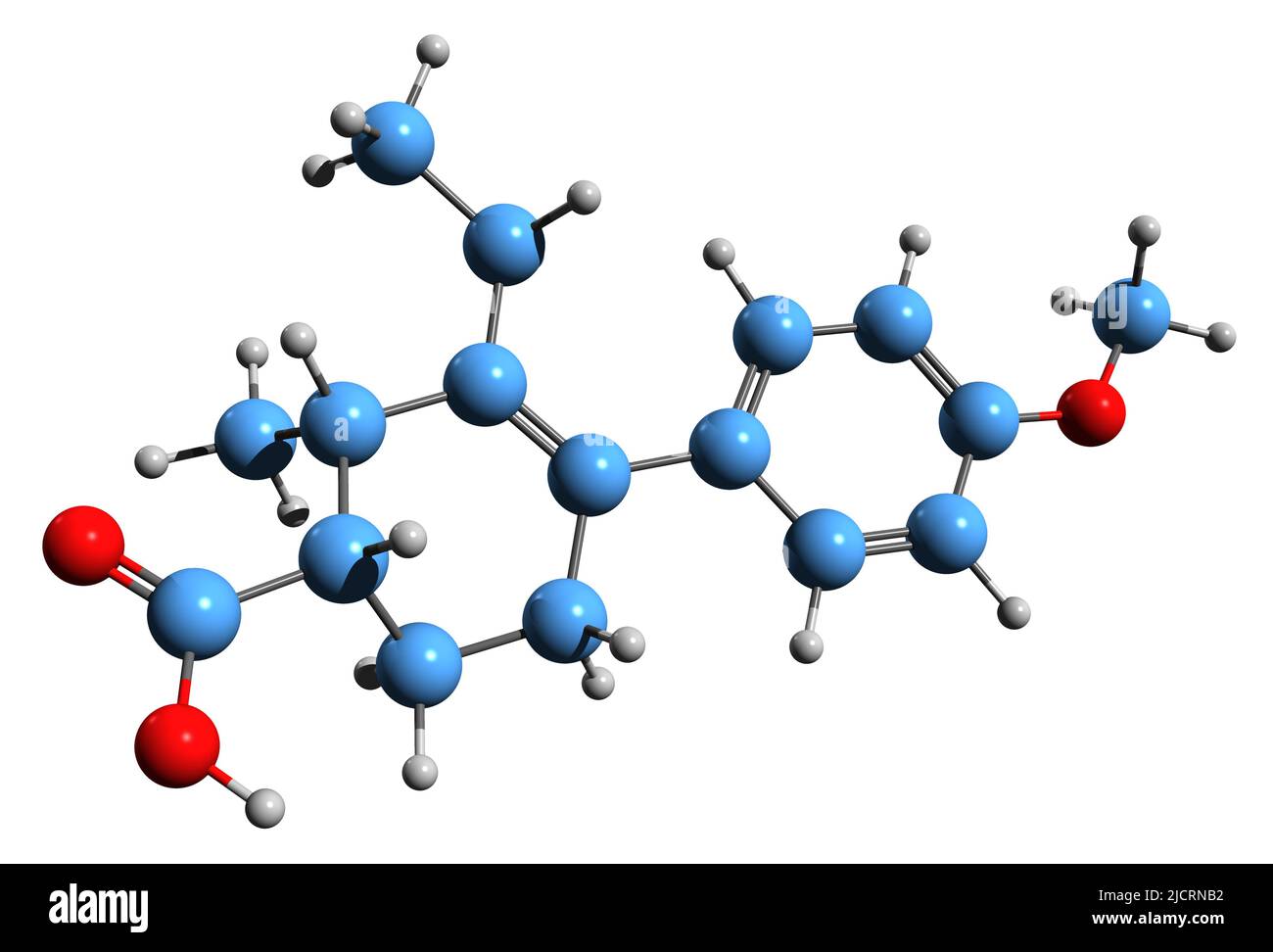 Fonction de la prostate Banque de photographies et d’images à haute ...