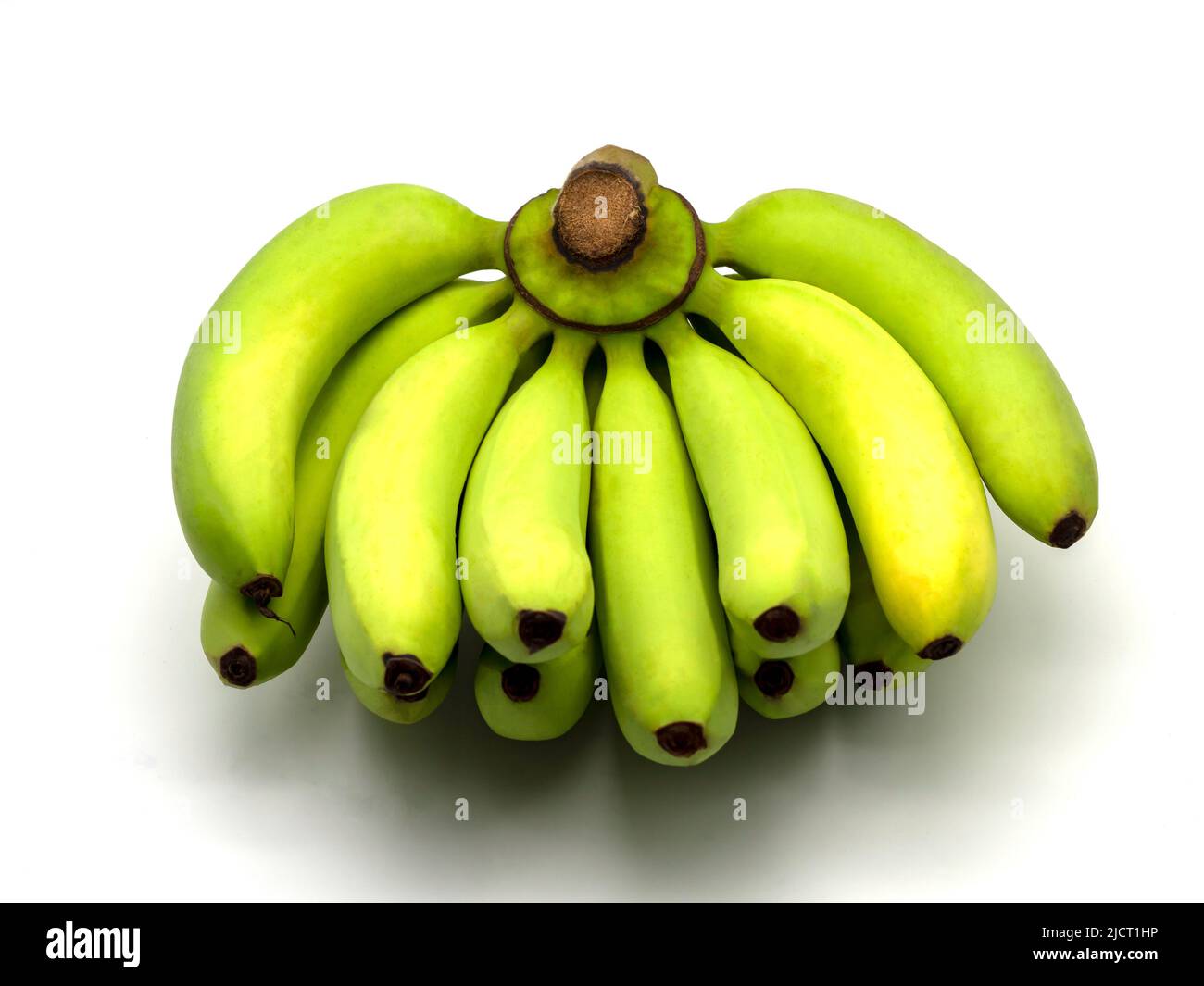 Bouquet de bananes vertes Banque de photographies et d’images à haute ...