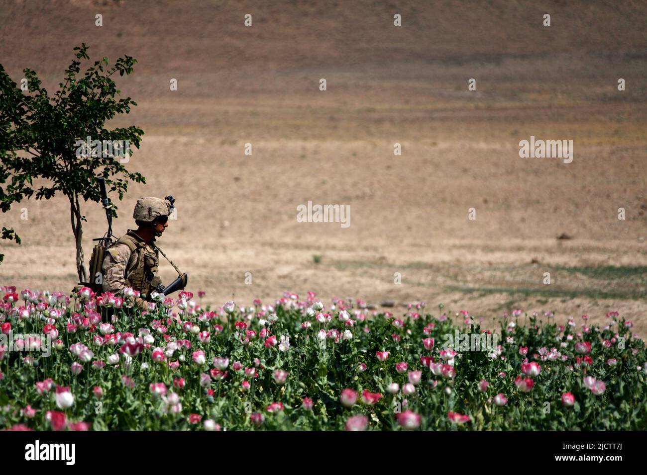 Une marine américaine avec 1st Bataillon, 8th Marine Regiment (1/8 ...