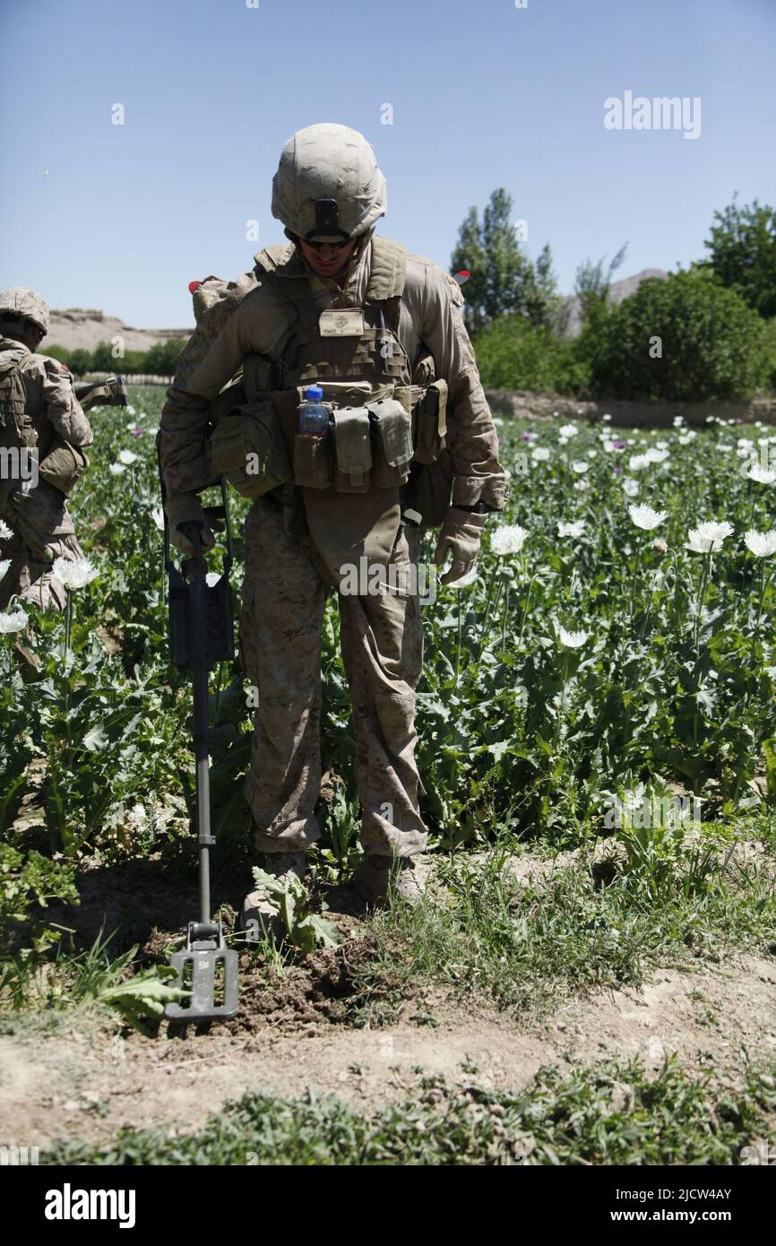 Military metal detector Banque de photographies et d’images à haute ...