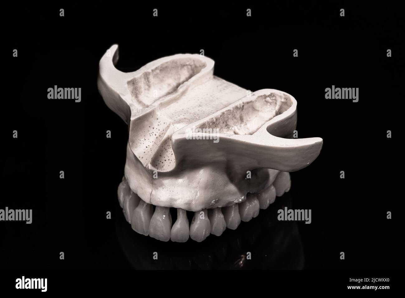 Modèle anatomique de mâchoire humaine inférieure avec dents isolé sur ...