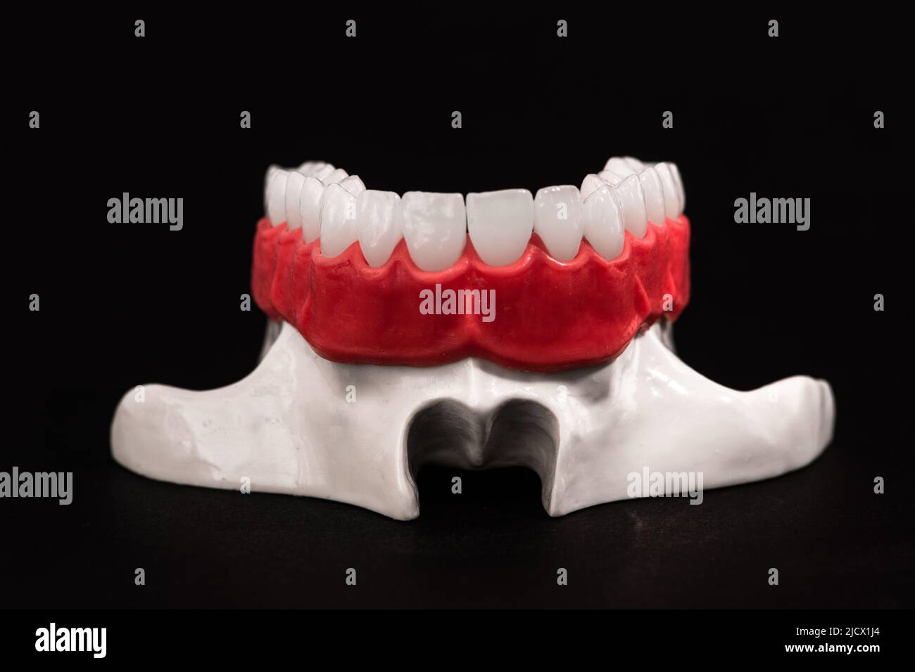 Modèle anatomique de mâchoire humaine inférieure avec dents isolé sur ...