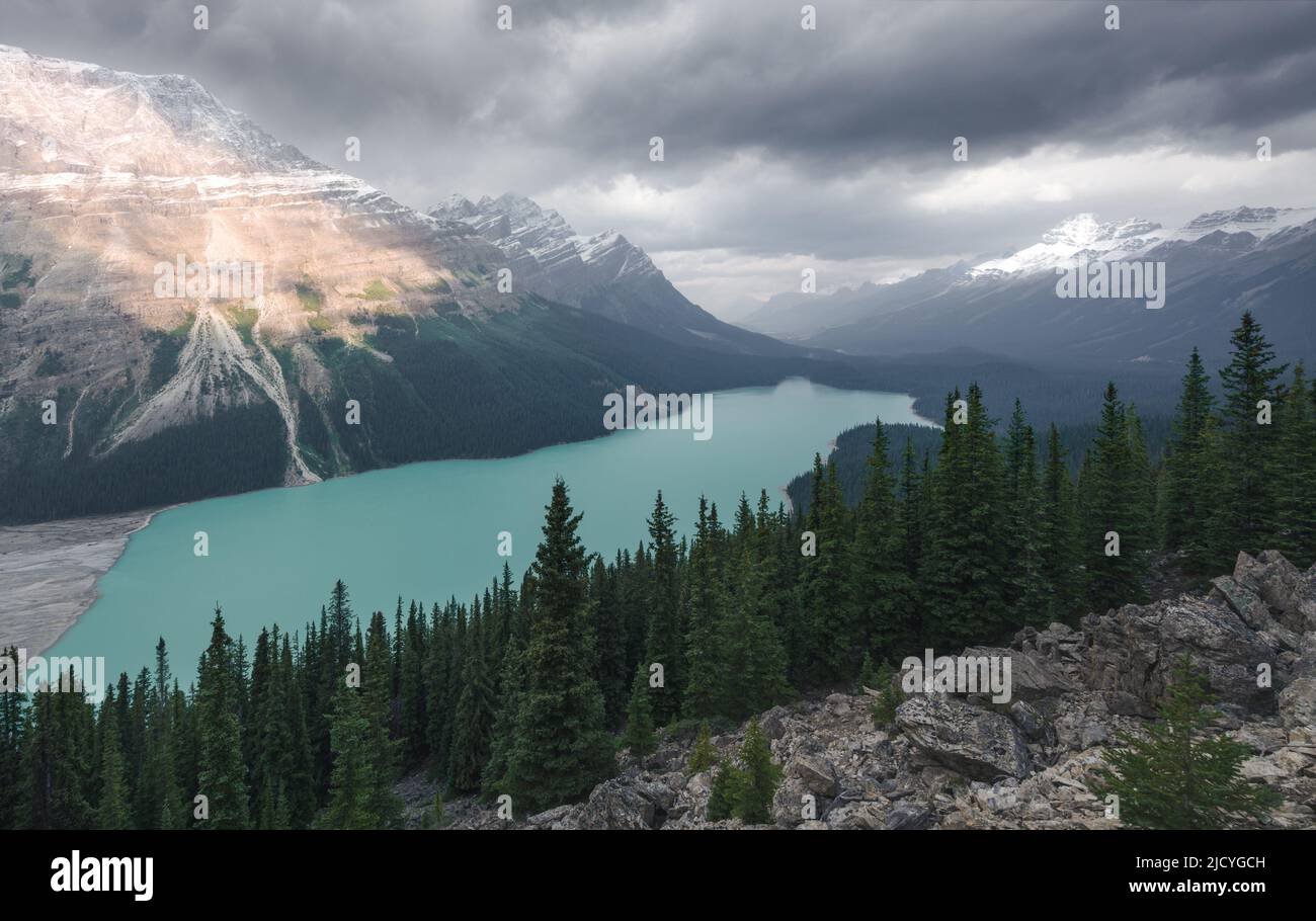 Lac Peyto dans le parc national Banff, un jour de septembre très ...
