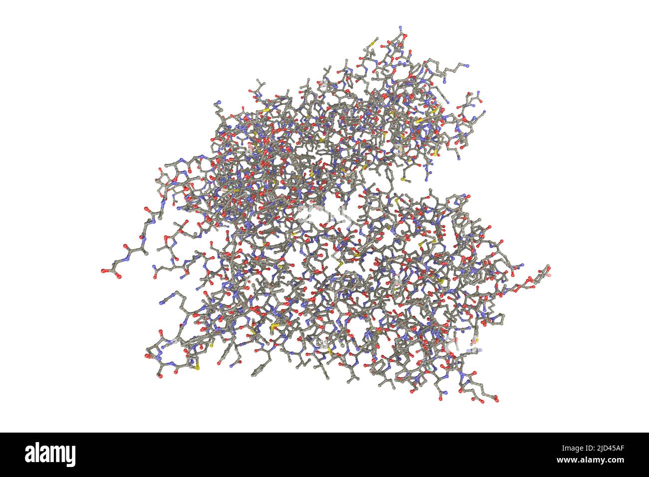 Cellules en bâtonnet cellules photoréceptrices Banque d'images ...