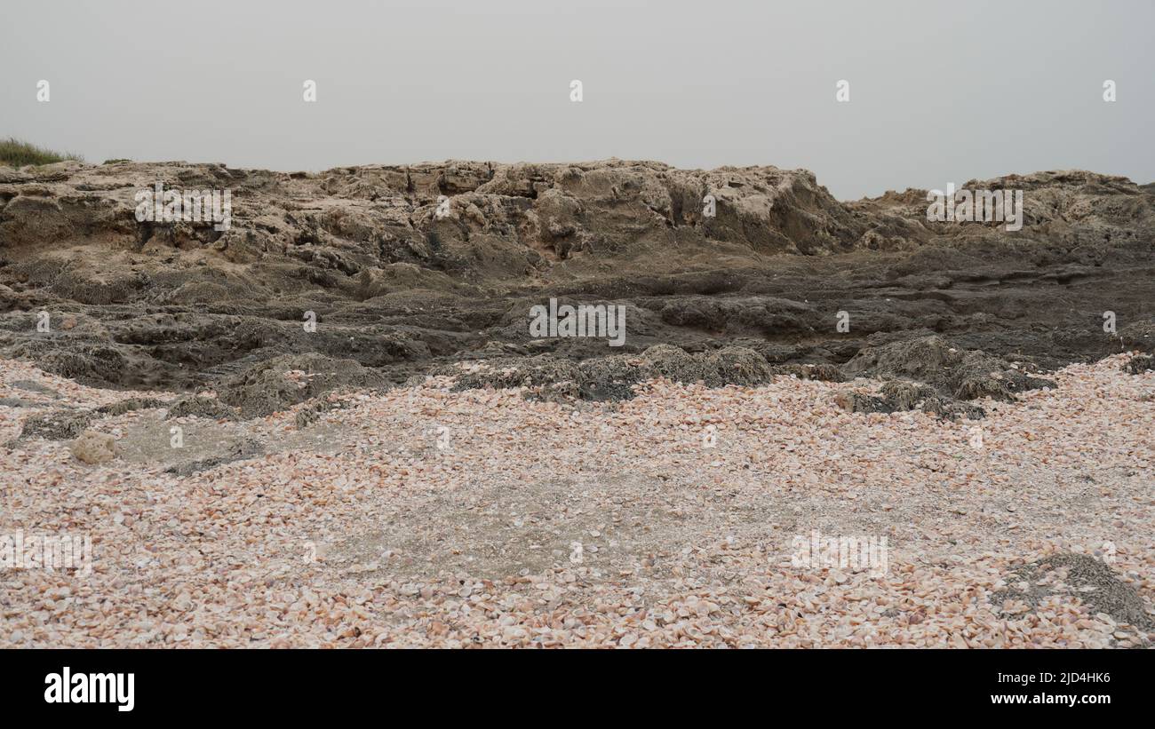 Plaques de roche volcanogènes de tel Dor(Israël) remplies de ...