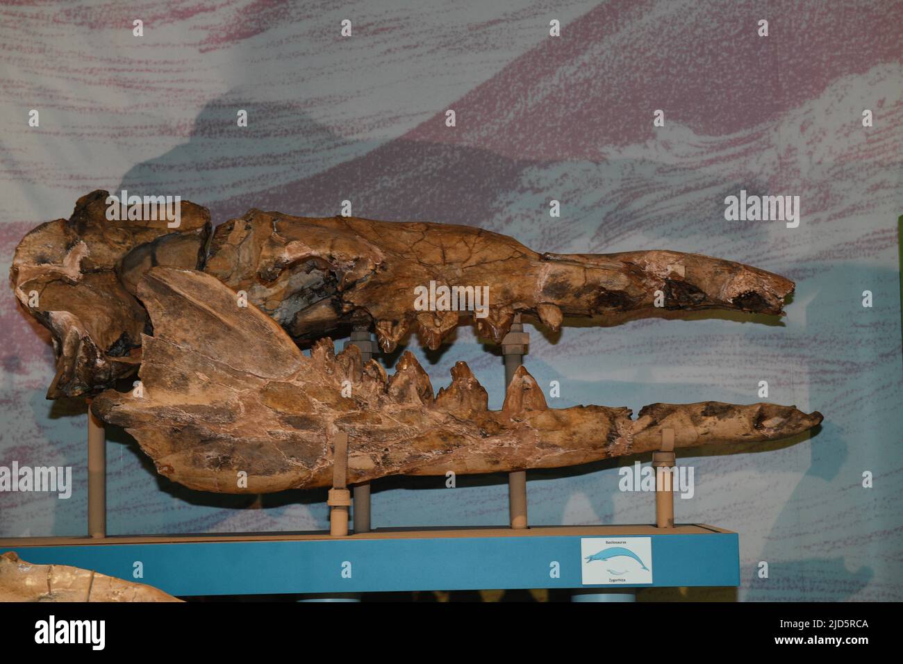 Prehistoric creatures Banque de photographies et d’images à haute ...