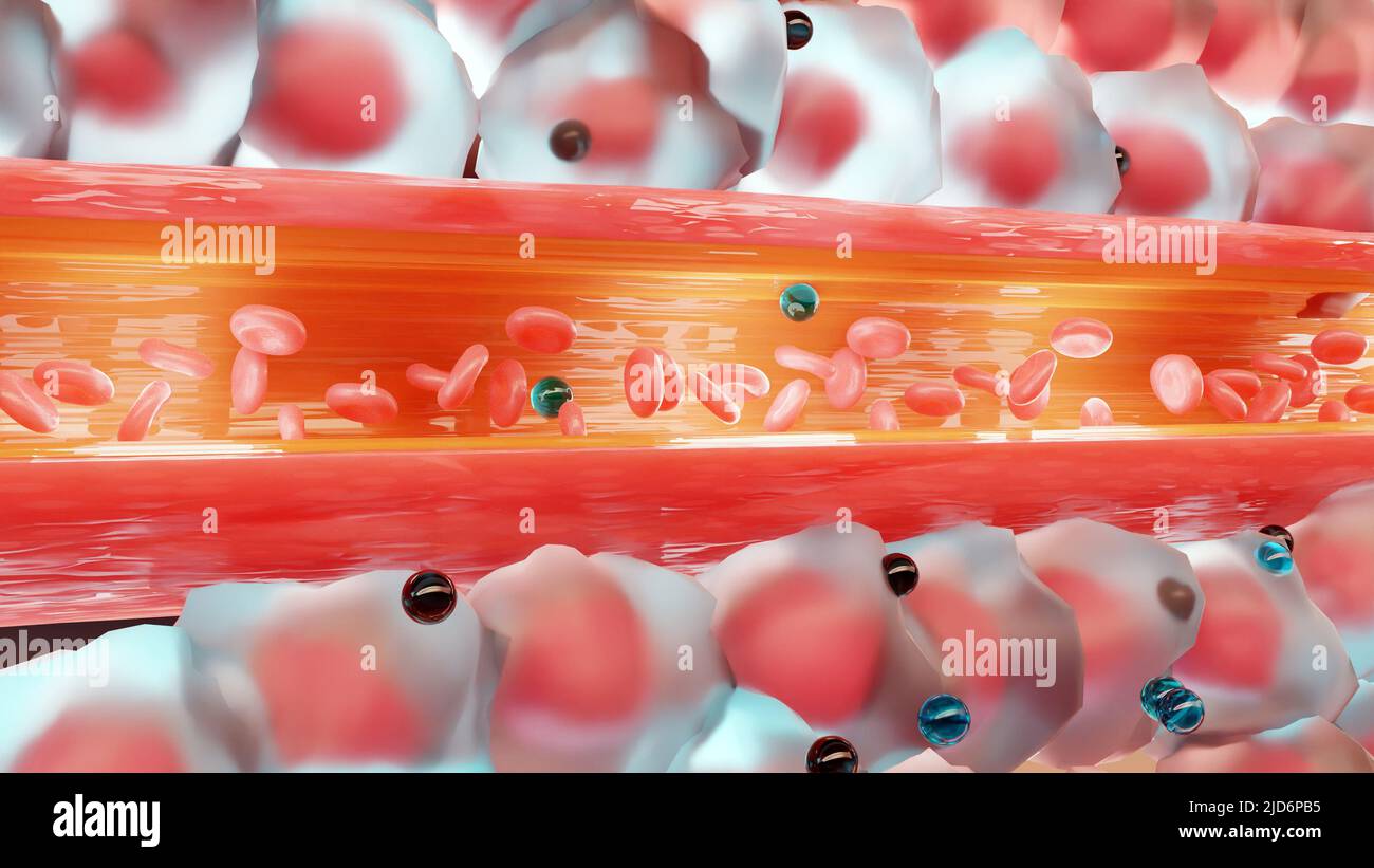 Hypoxie anémique, hypoxique, stagnante, histotoxique, artérielle pO2 et ...