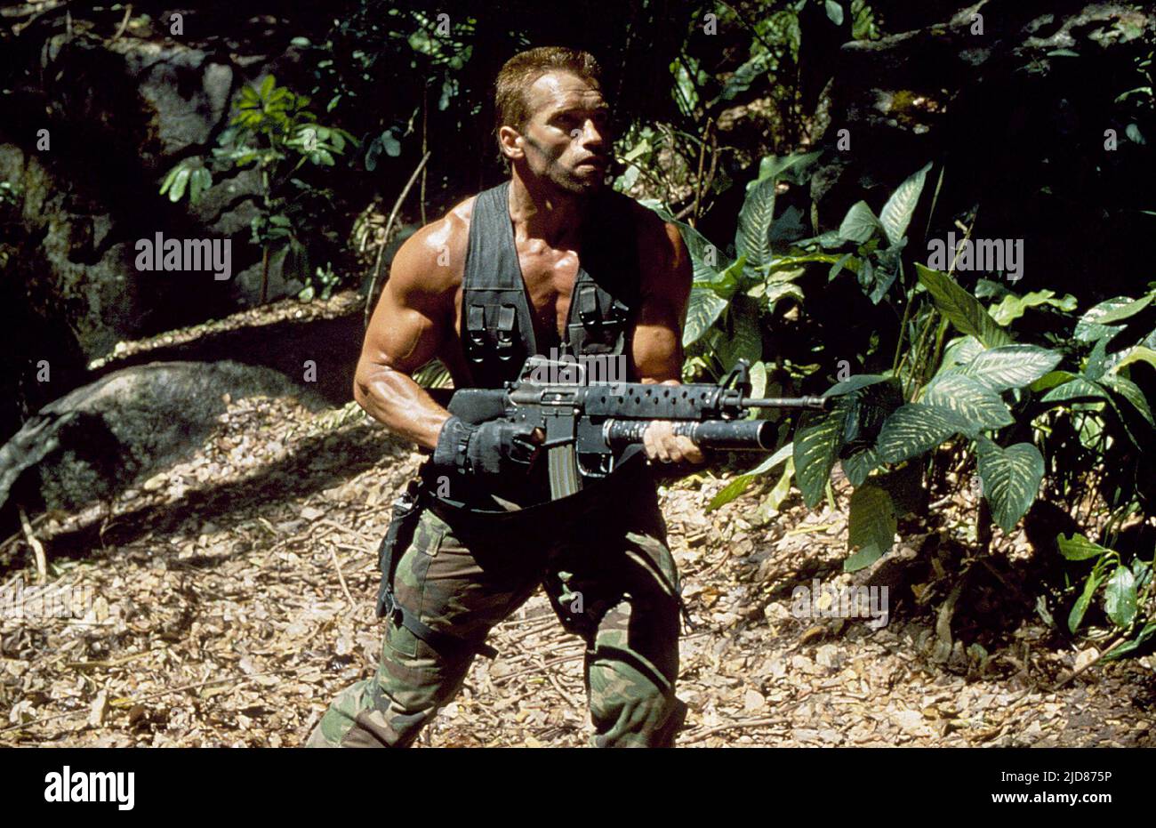 Arnold schwarzenegger predator 1987 Banque de photographies et d’images ...