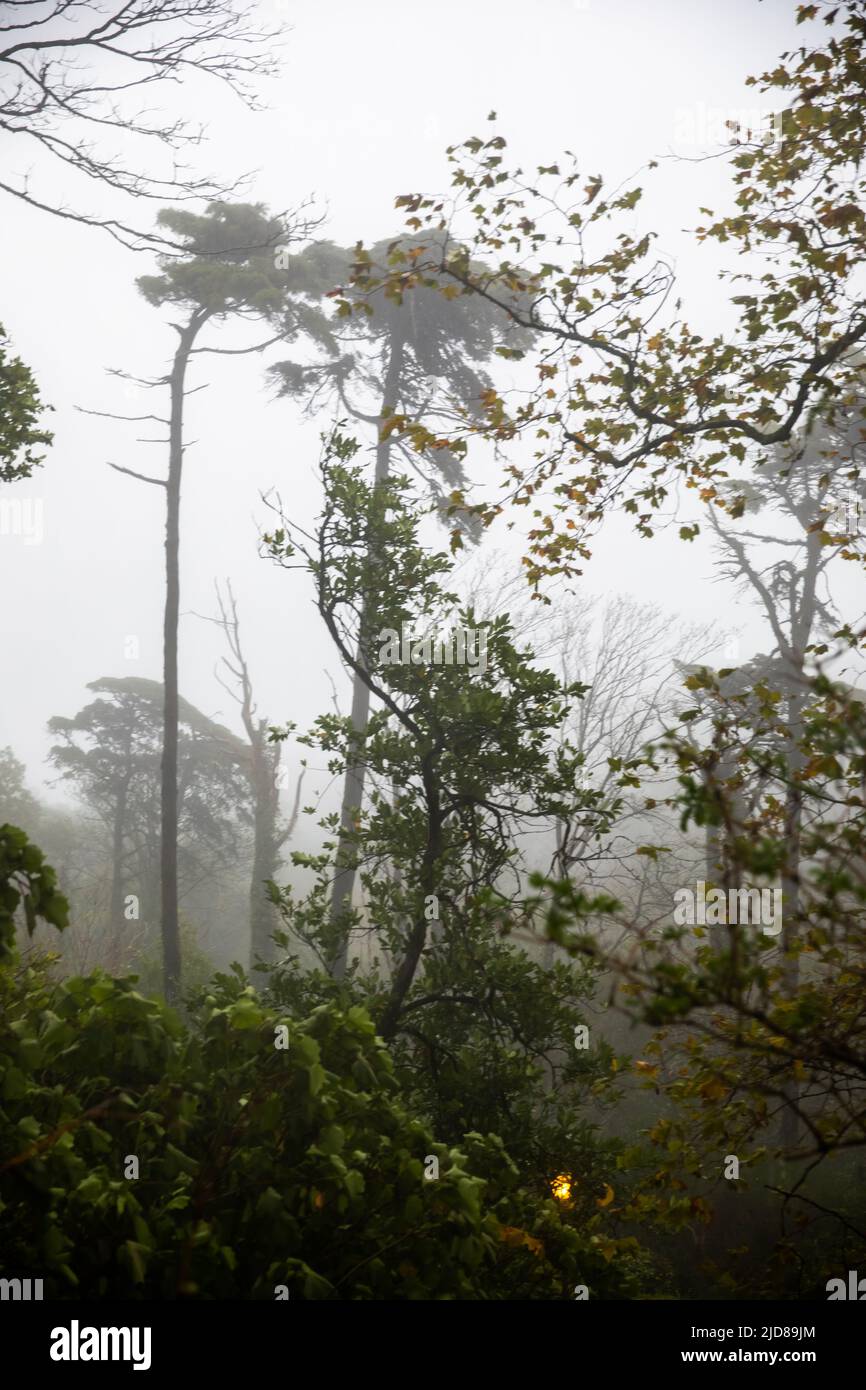 La Côte d'Azur portugaise, Sintra, Portugal - 20-21 octobre : paysage ...