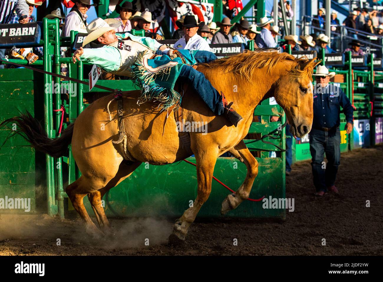 Zack brown Banque de photographies et d’images à haute résolution - Alamy