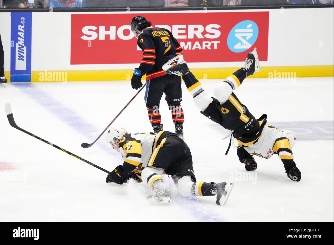 Ryan Winterton, de Hamilton Bulldogs, à gauche, et Nathan Staios, de ...