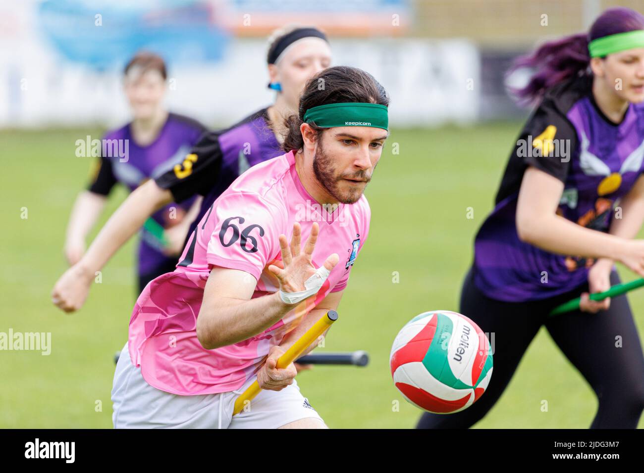 Robin menzel Banque de photographies et d’images à haute résolution - Alamy