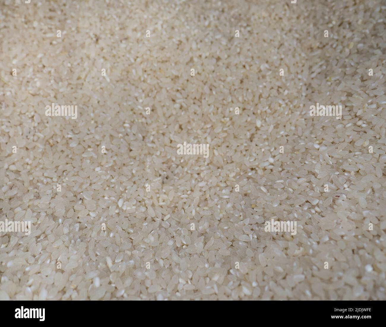 Riz à grains ronds Banque de photographies et d’images à haute ...