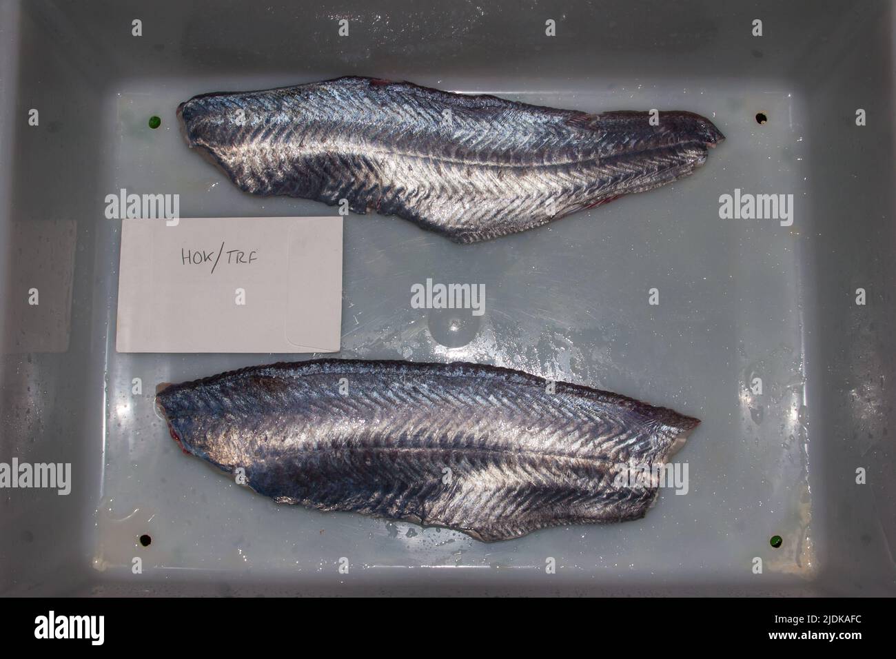 Filets de hoki Banque de photographies et d’images à haute résolution ...
