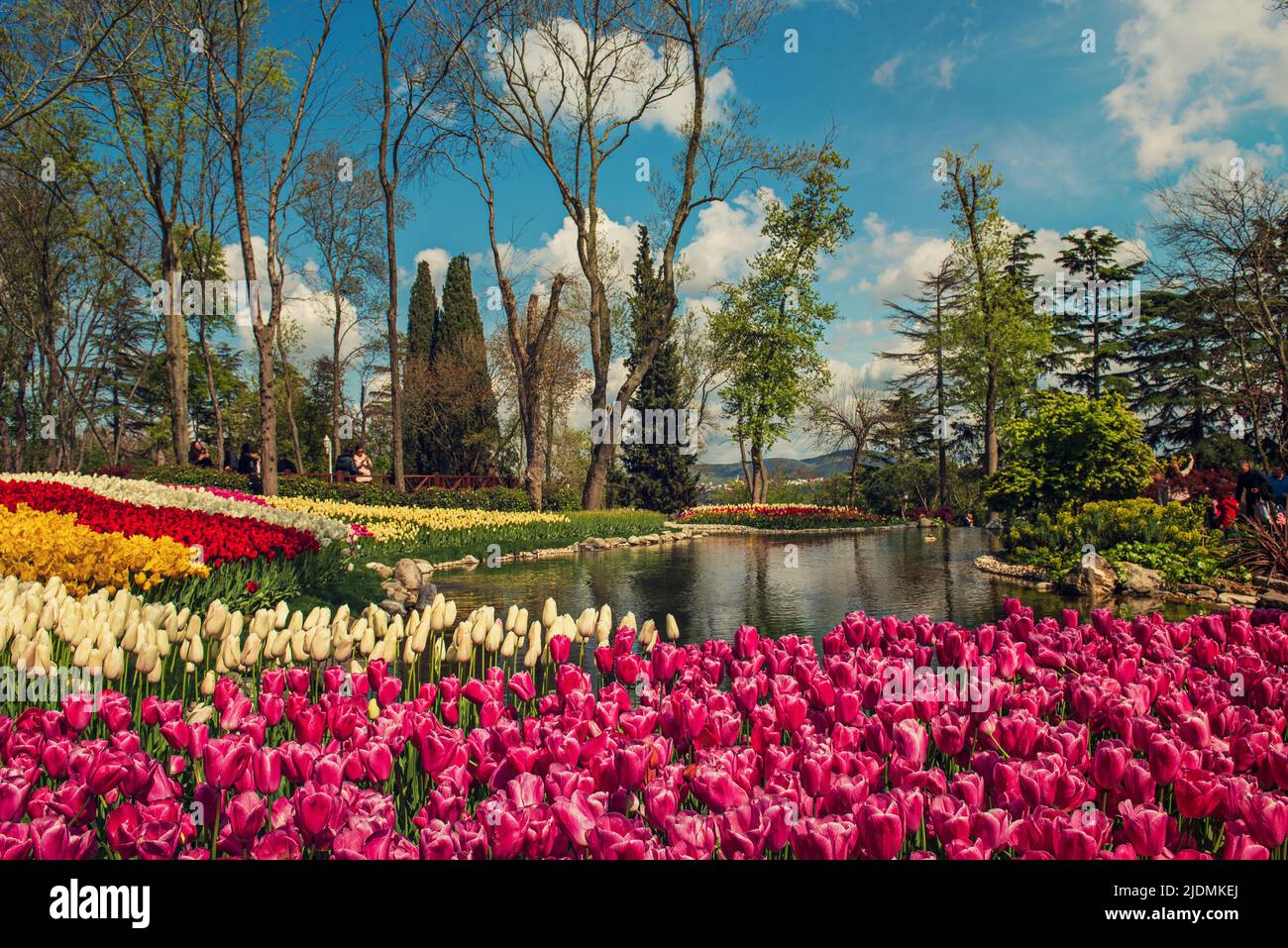 Emirgan park istanbul Banque de photographies et d’images à haute ...