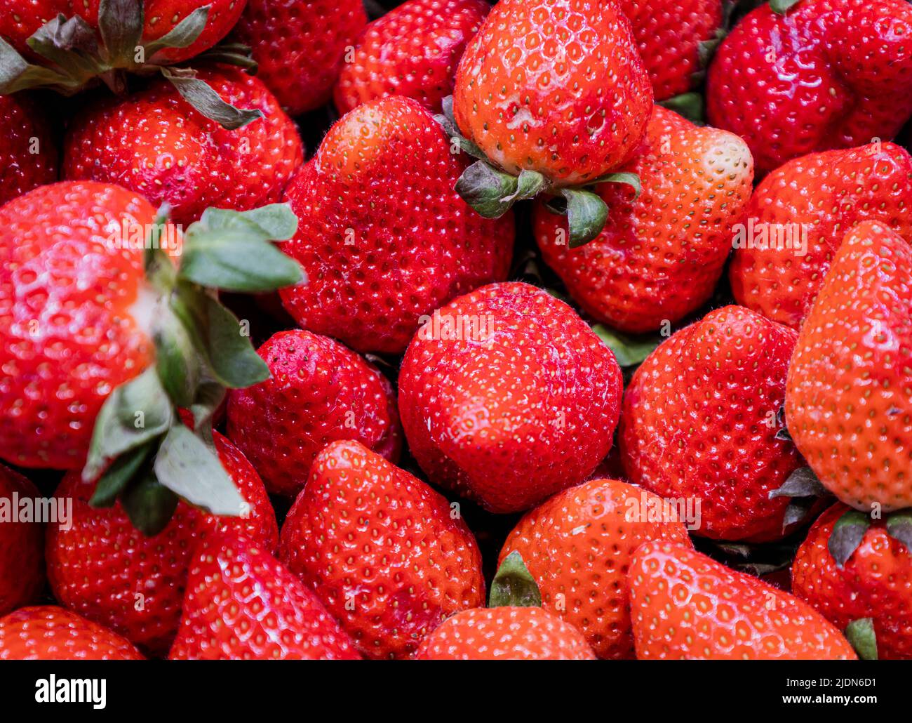 Tabla de valor nutricional Banque de photographies et d’images à haute ...