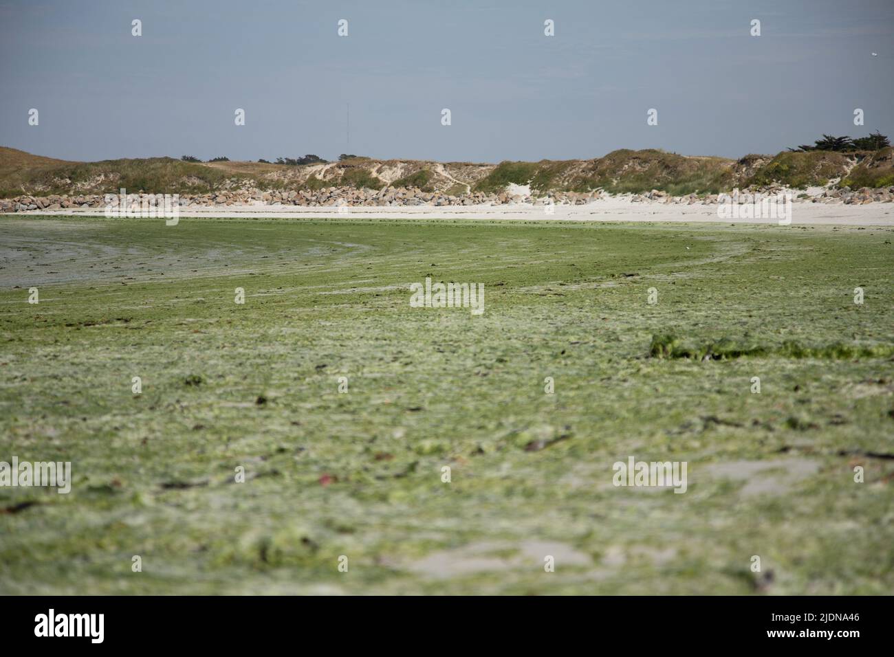 échouage massif Banque de photographies et d’images à haute résolution ...