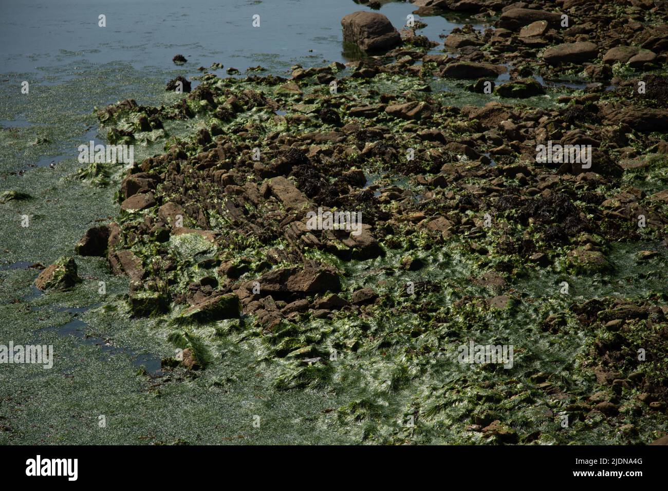 échouage massif Banque de photographies et d’images à haute résolution ...