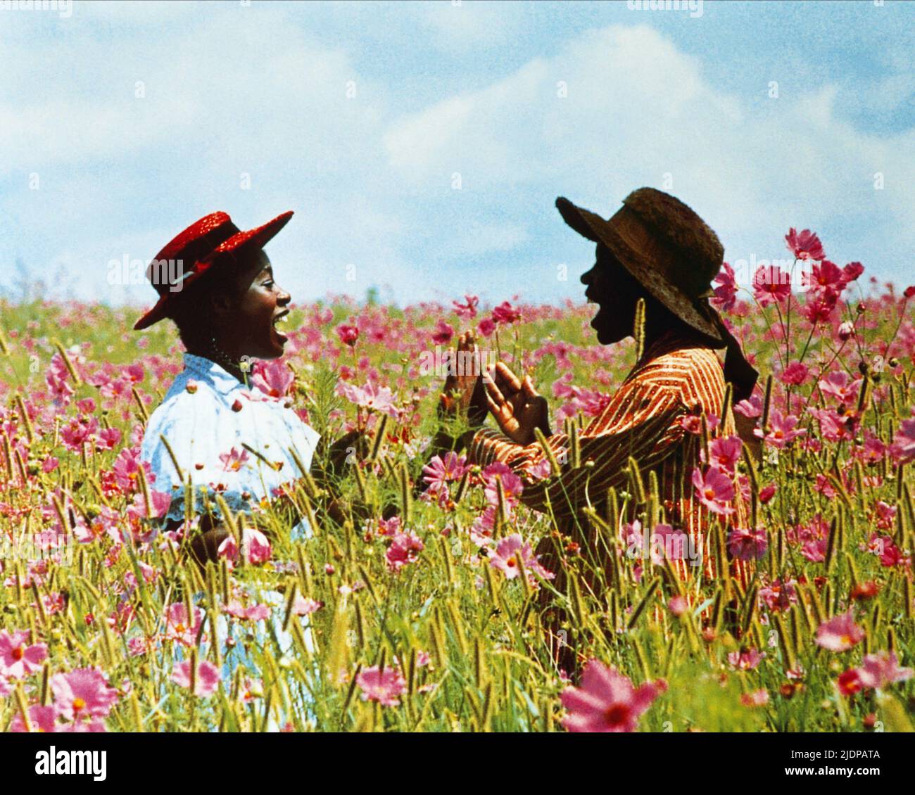 La couleur pourpre film Banque de photographies et d’images à haute ...