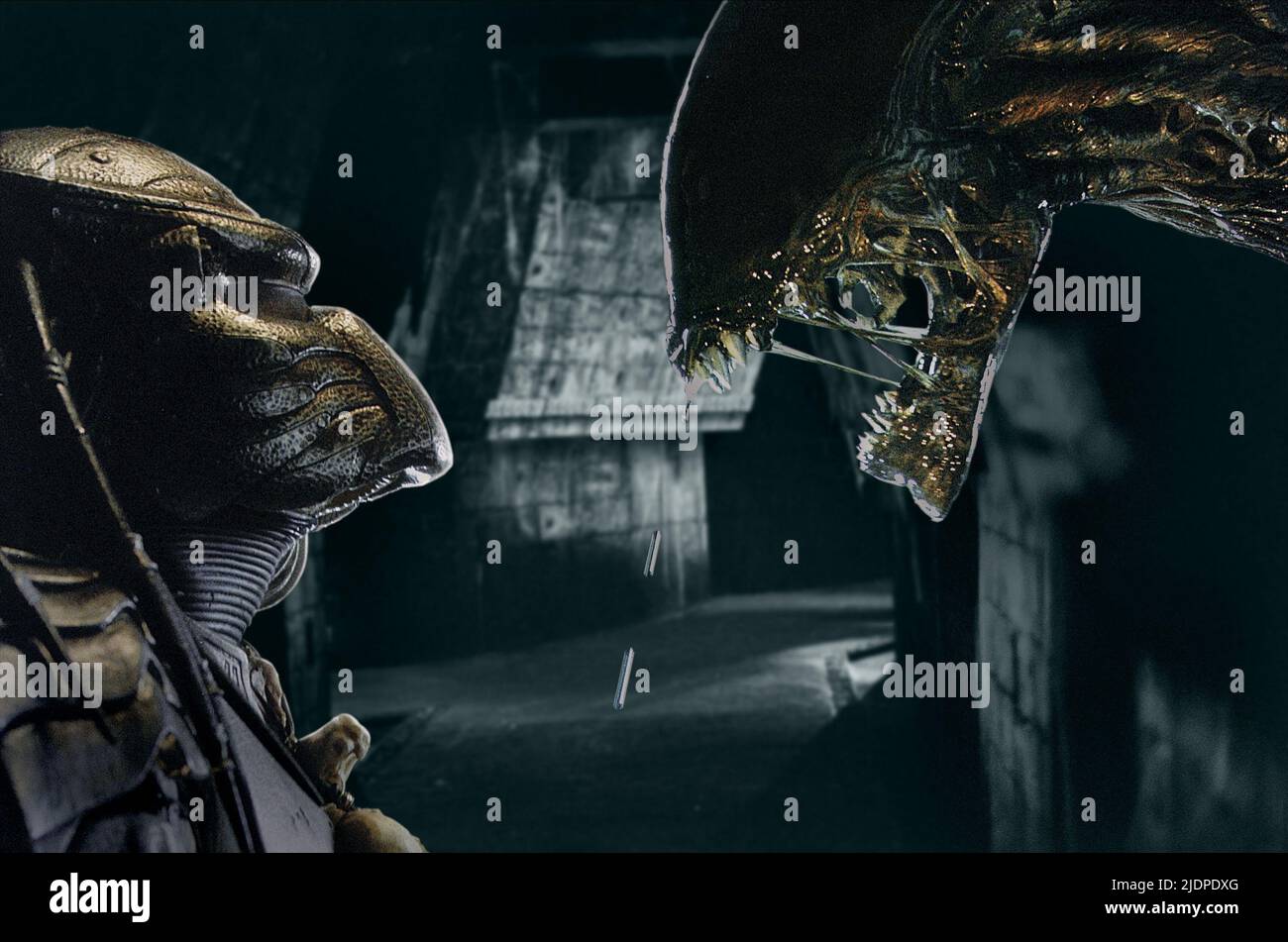 Predator film Banque de photographies et d’images à haute résolution ...