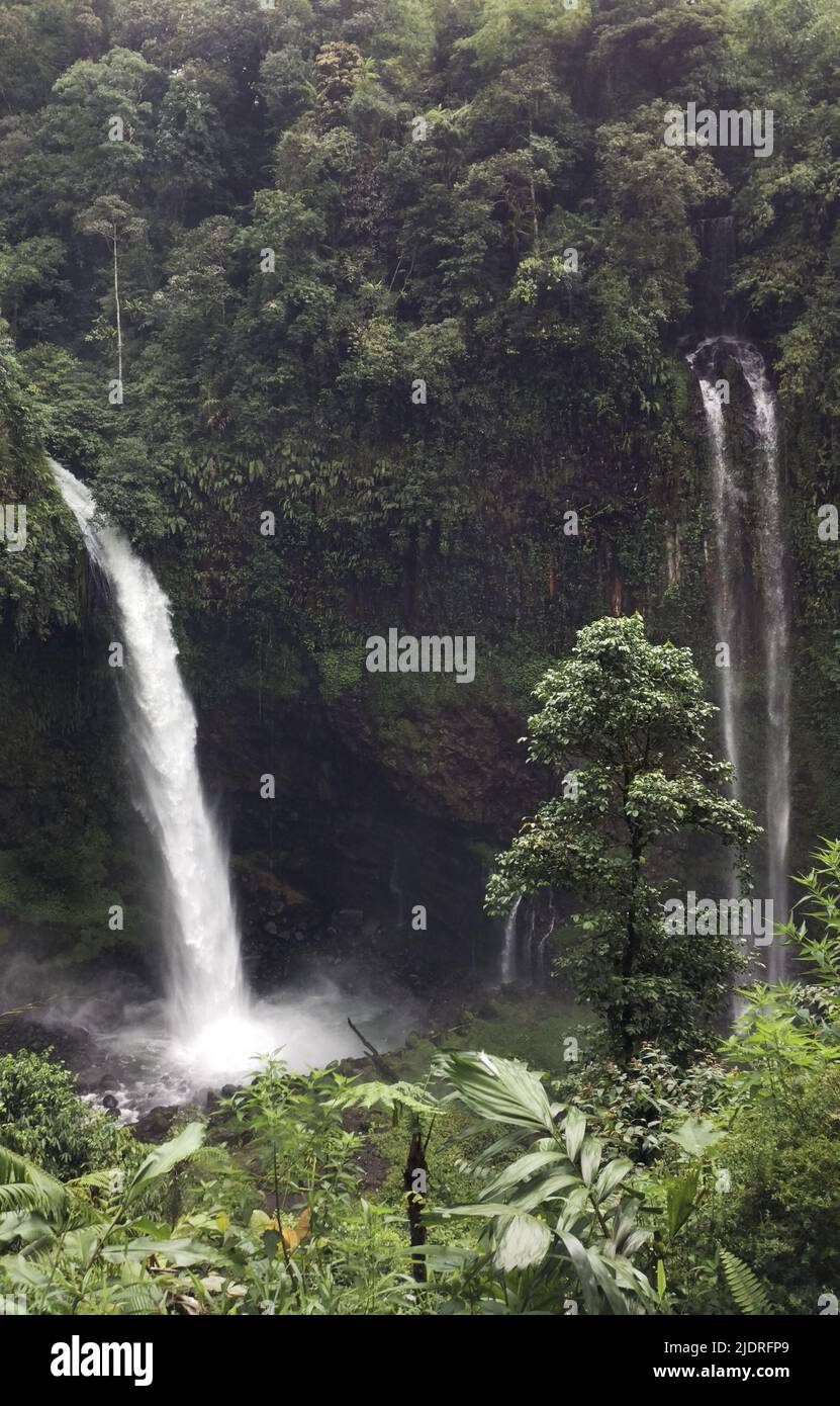 Cascade dans l'ouest de java Banque de photographies et d’images à ...