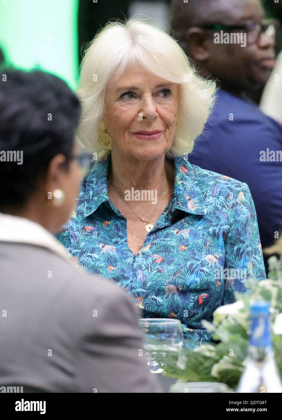 La duchesse de Cornwall assiste à un événement violence contre les ...