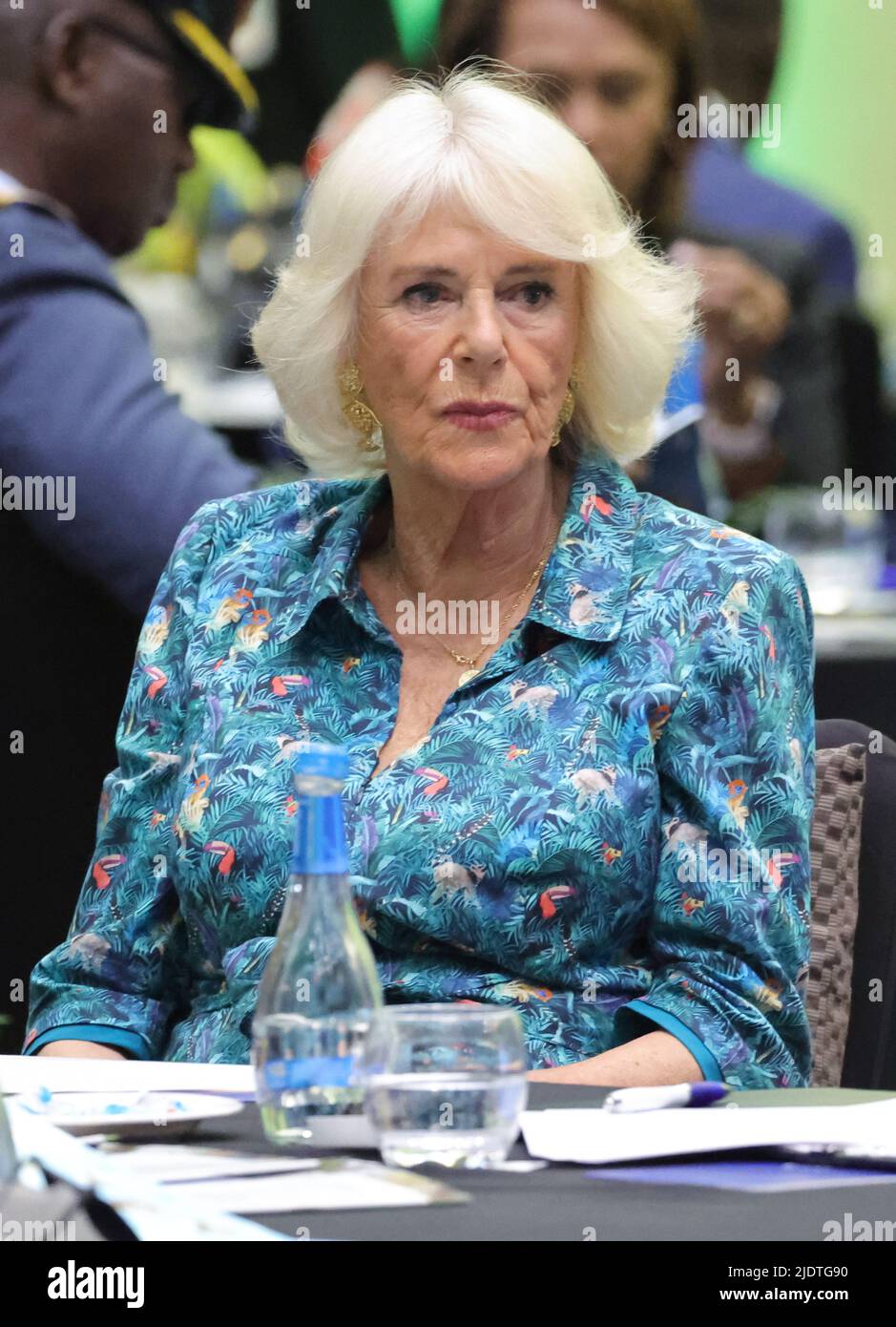 La duchesse de Cornwall assiste à un événement violence contre les ...