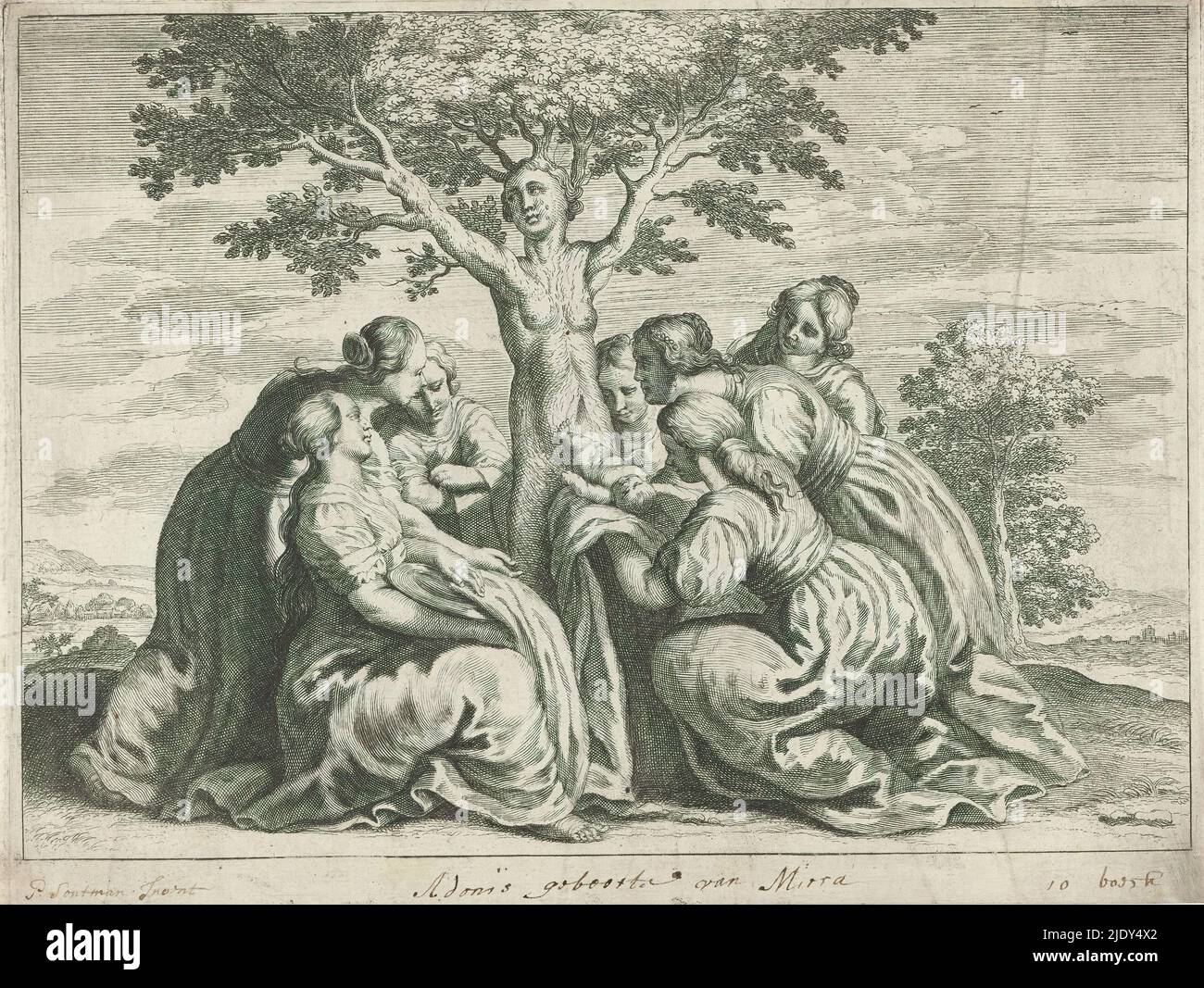 Naissance d'Adonis, Metamorphoses par Ovid (titre de la série), Adonis ...