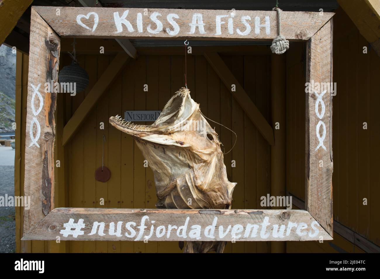Dried fish head Banque de photographies et d’images à haute résolution ...