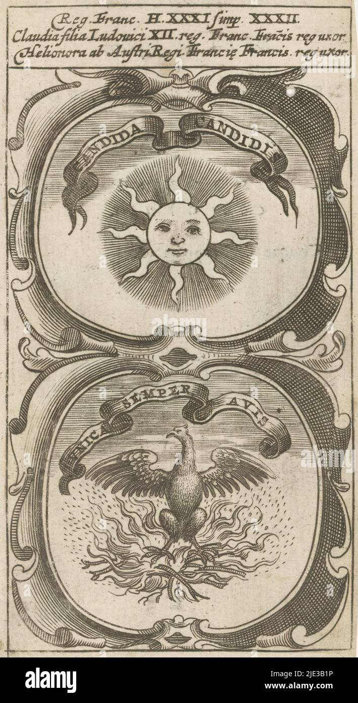 Candida candidis Banque de photographies et d’images à haute résolution ...