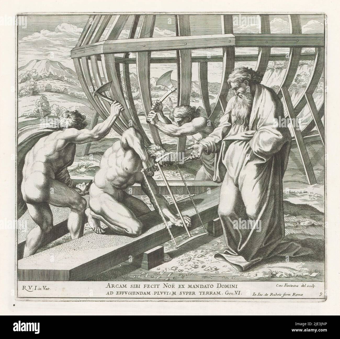 Noé construit l'arche, la Bible de Raphaël (titre de la série), les ...