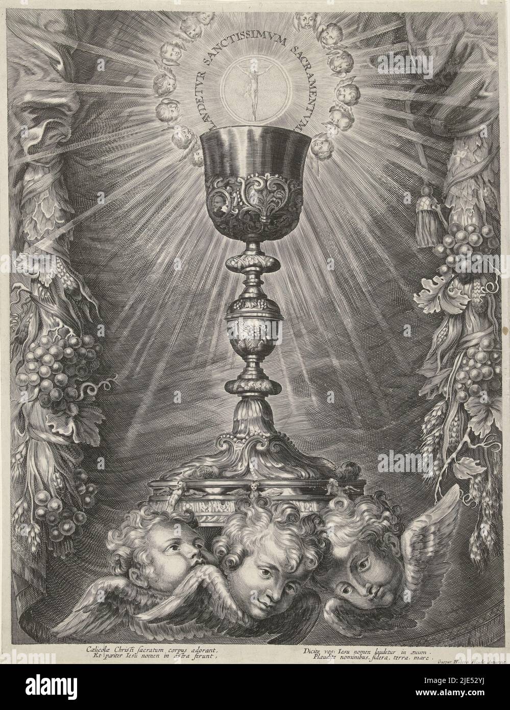 Le calice plane Banque de photographies et d’images à haute résolution ...