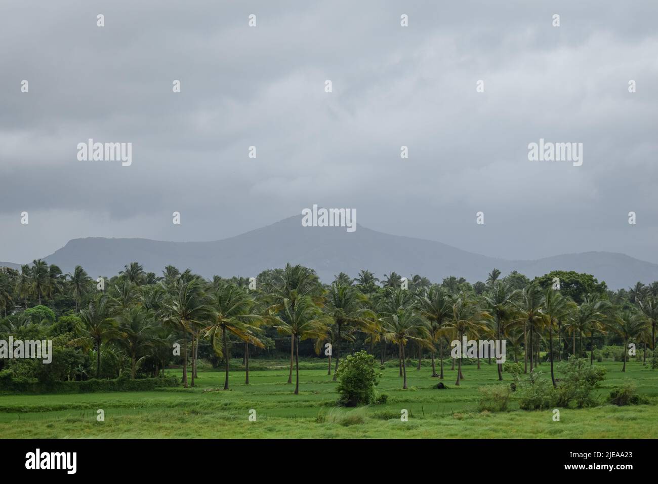 Plus beaux paysages Banque de photographies et d’images à haute ...