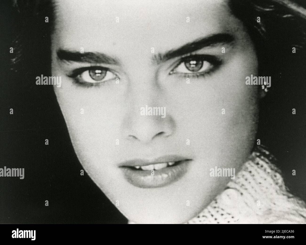Brooke shields model Banque de photographies et d’images à haute ...