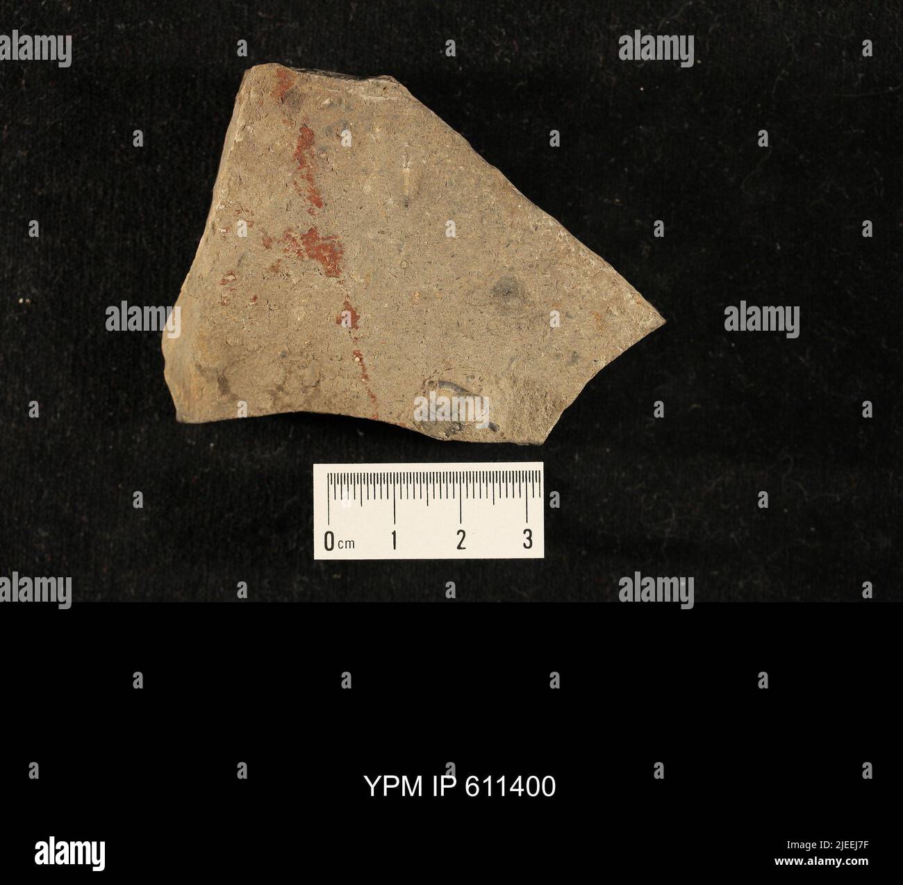 Ceraurus pleurexanthemus vert Banque de photographies et d’images à ...