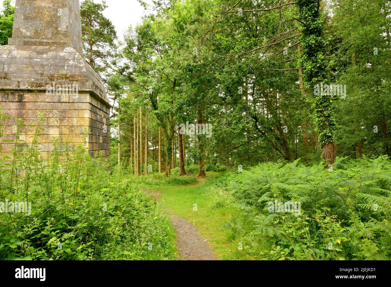 Mamhead devon Banque de photographies et d’images à haute résolution ...