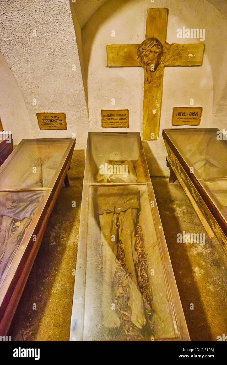 Les moines capucins Banque de photographies et d’images à haute ...