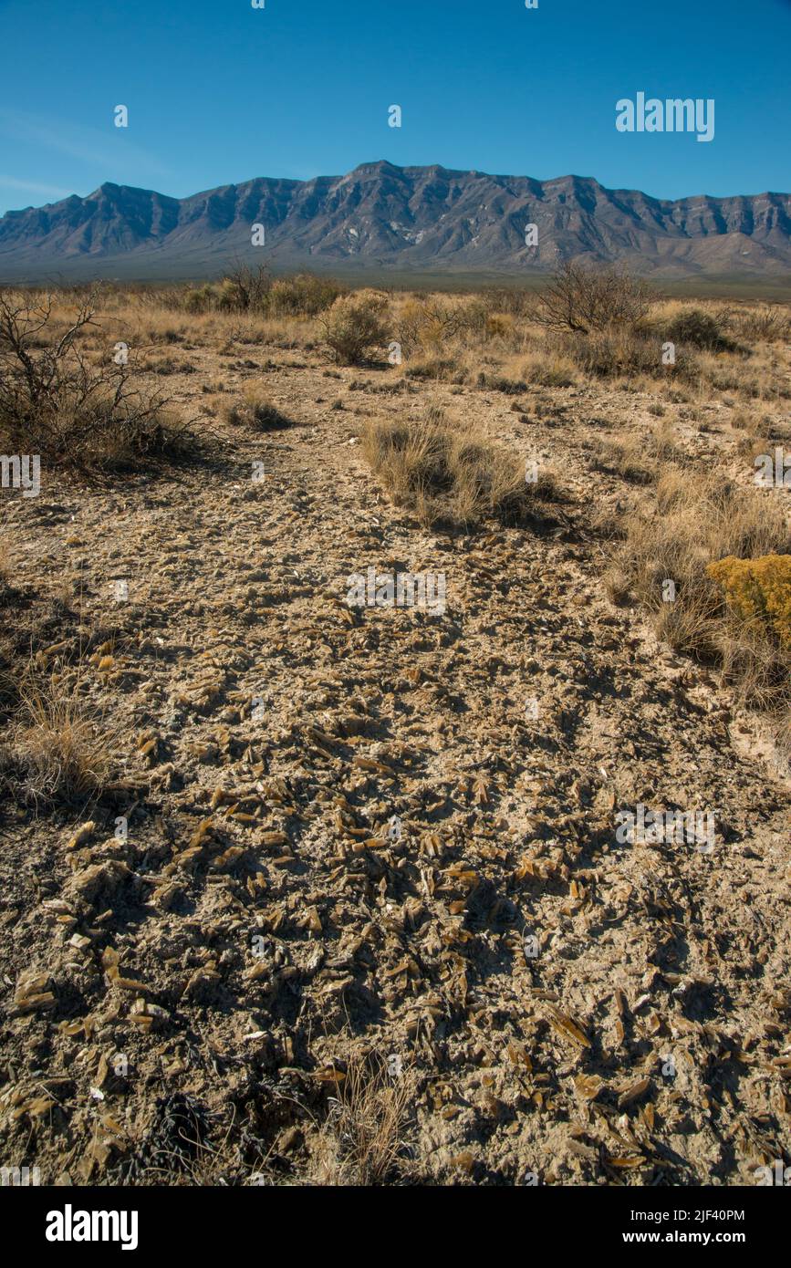 Paysage désertique au Nouveau-Mexique, cristaux de gypse au fond d'un ...