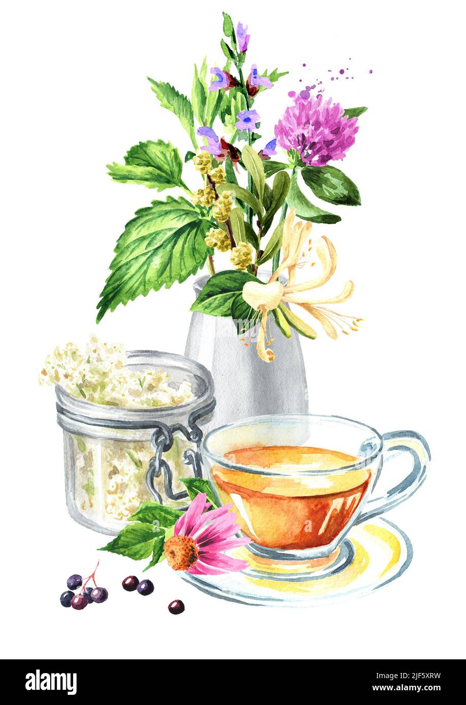 Plantes médicinales pour le thé maison de fines herbes. Médecine ...