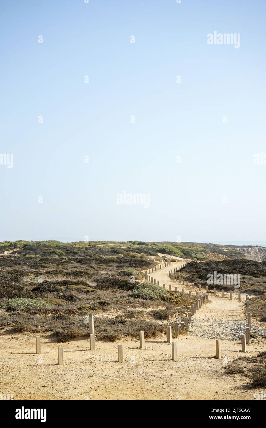 Arbre seul au milieu du désert Banque de photographies et d’images à ...