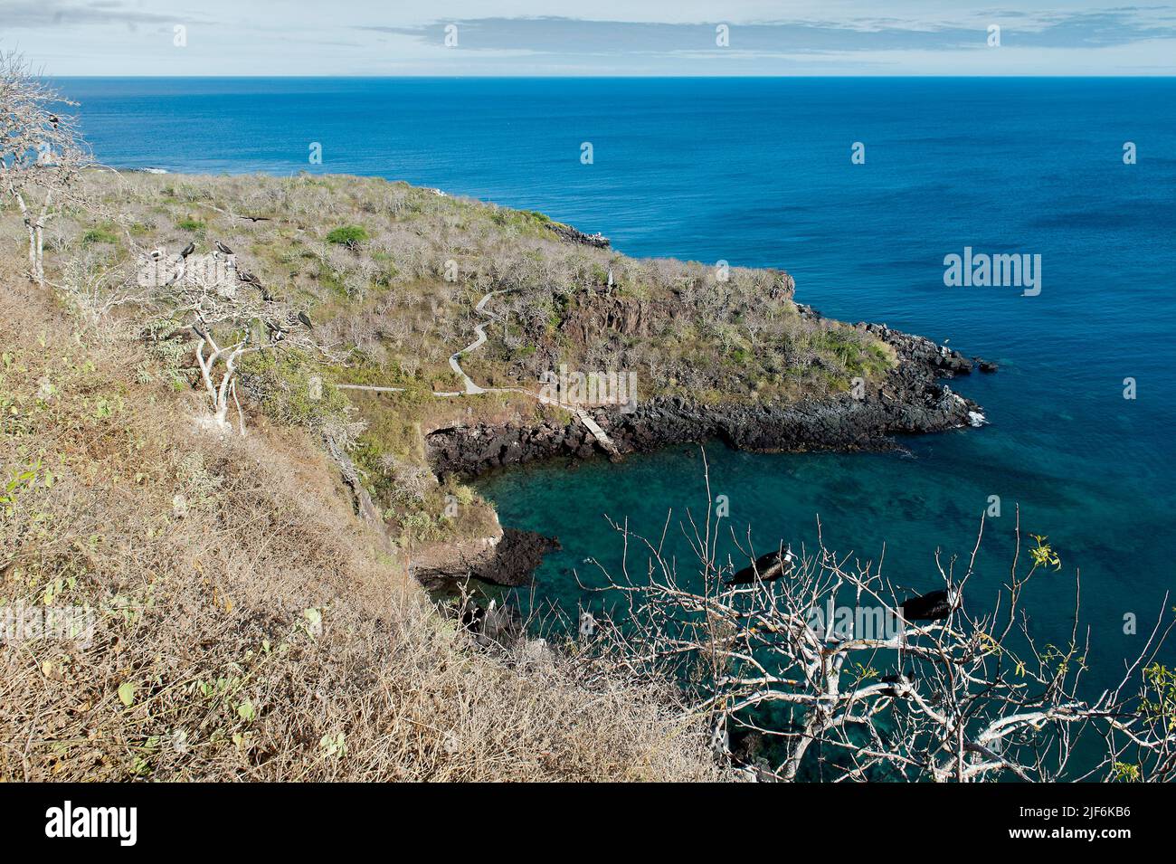 Captain robert fitzroy Banque de photographies et d’images à haute ...