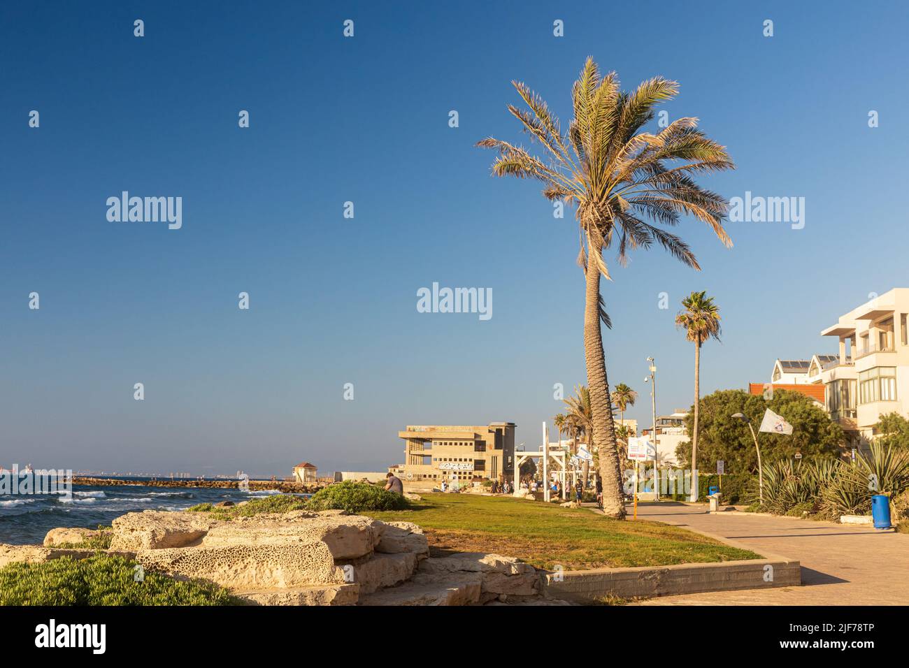 Chauve souris gailim Banque de photographies et d’images à haute ...