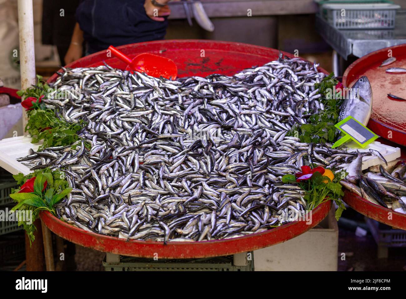 Poisson d'anchois Banque de photographies et d’images à haute ...